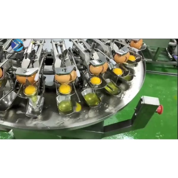 Egg Breaking Machine Egg Peeling Machine Manufacturer | Egg machine ...